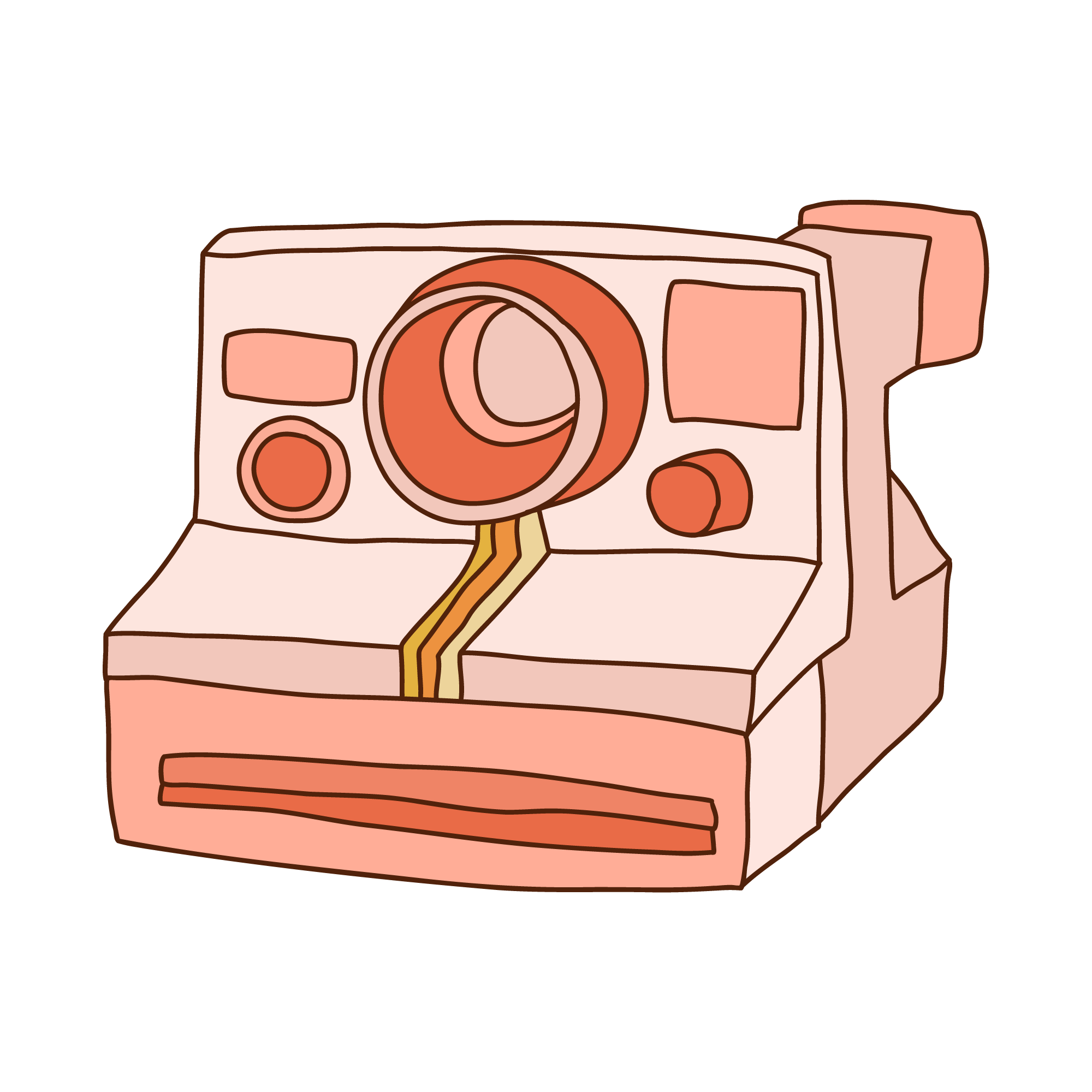 Wild Nomad Flower Company – WILD NOMAD